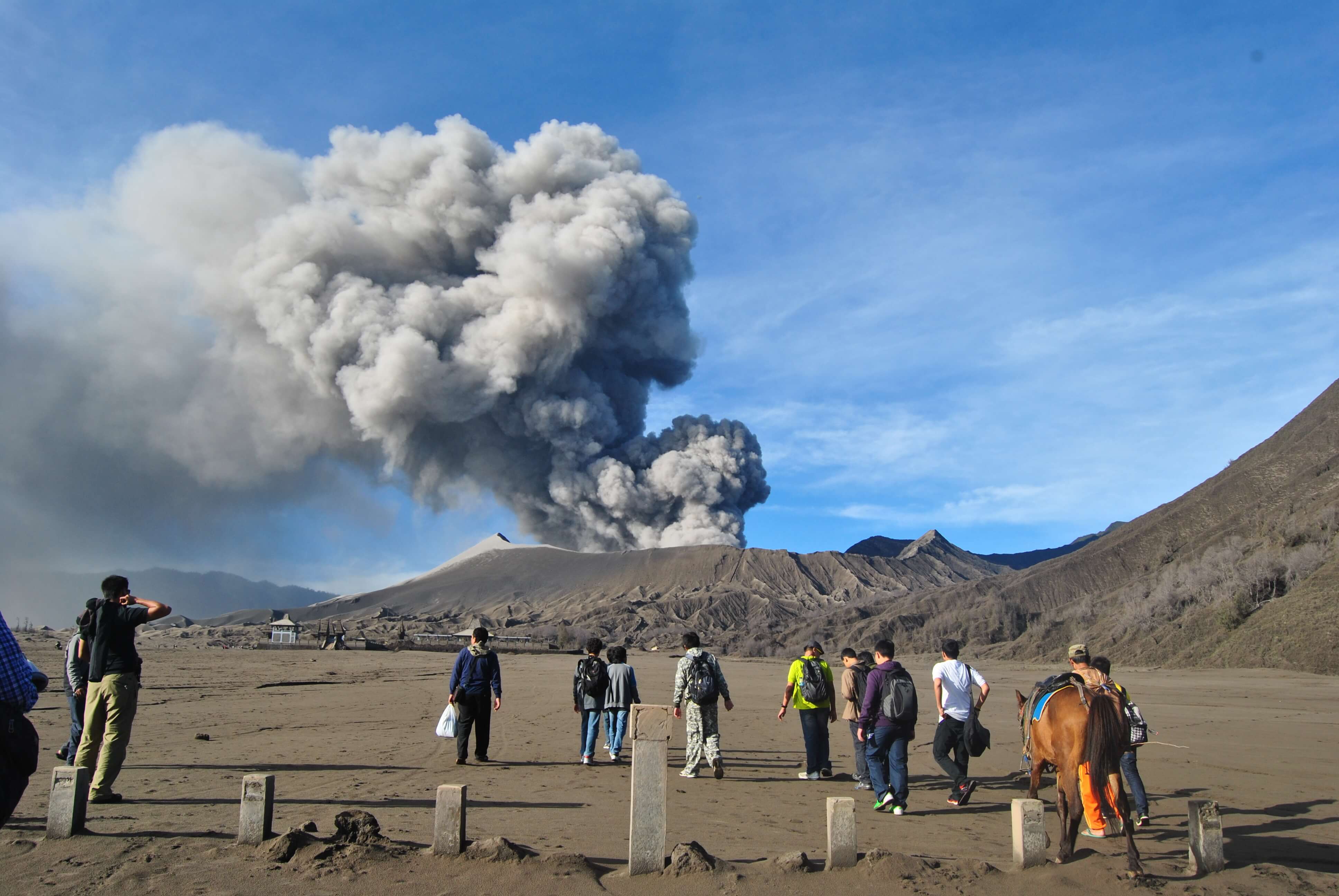 House Of Kaliandra & Farm - bromo mountain, excurcion, volcano mountain ...
